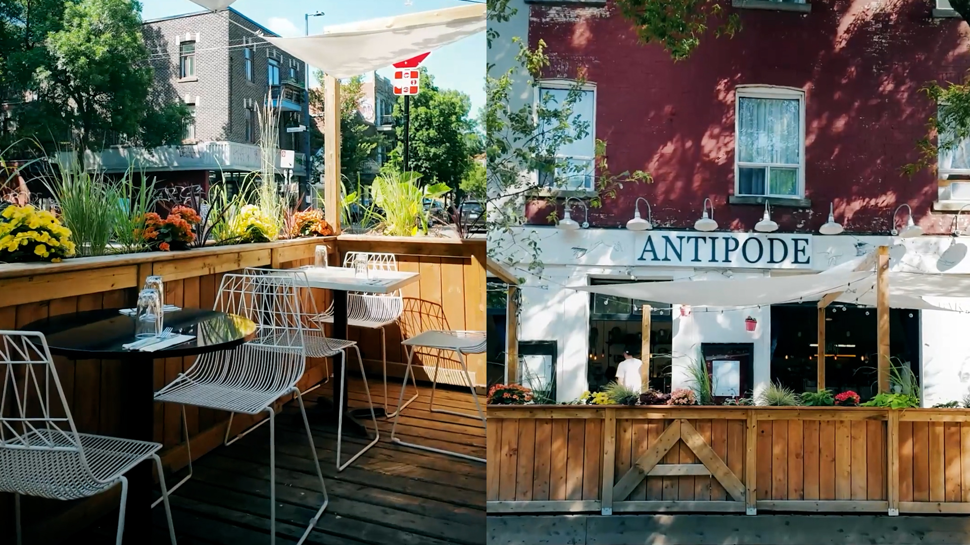 Antipode Brunch and Tapas Bar - LenzVive